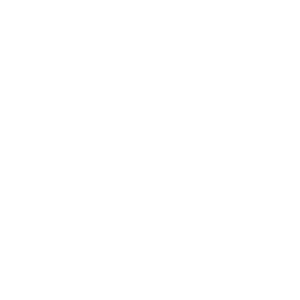 Our Team – Smith Gee Studio